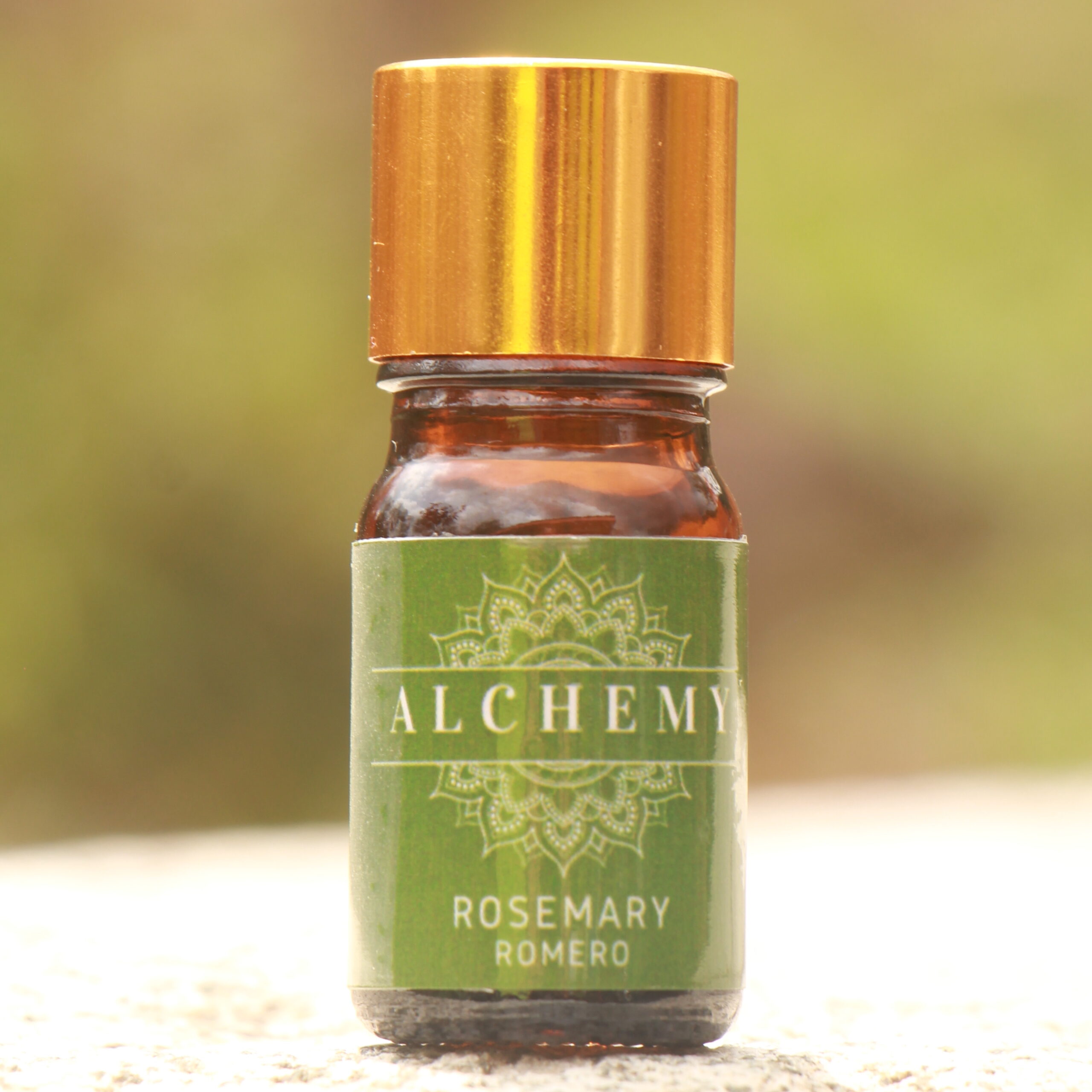 ROSEMARY | 5ml Essential Oil | Alchemy Essentials | Costa Rica